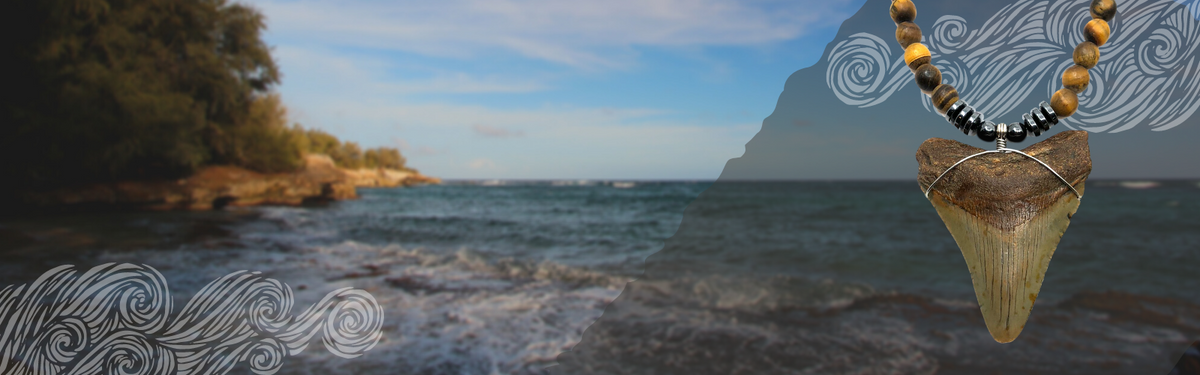 Shark Tooth - Noe's Creations